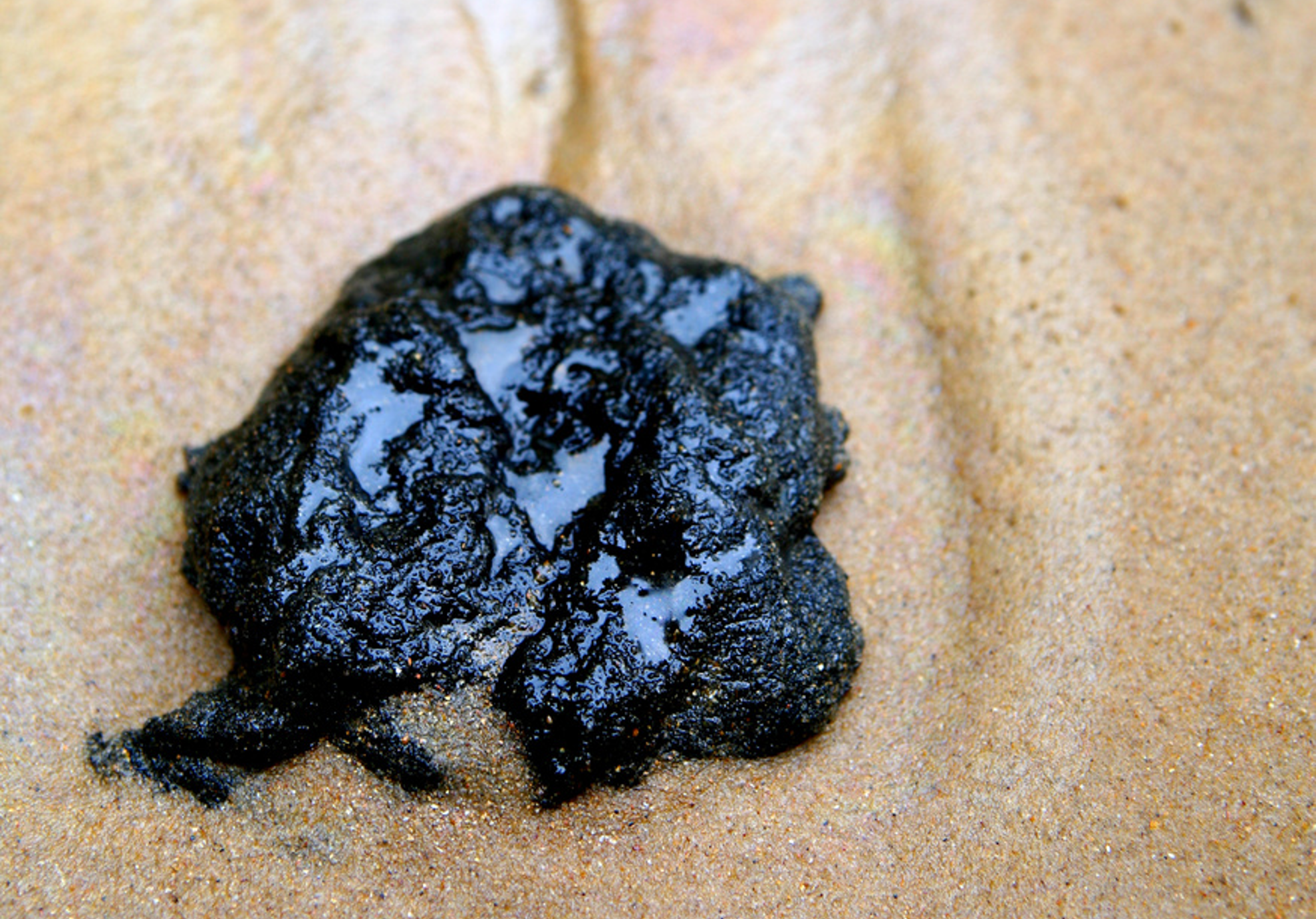 Oil Spill dan Dampaknya terhadap Lingkungan - Oil Separator